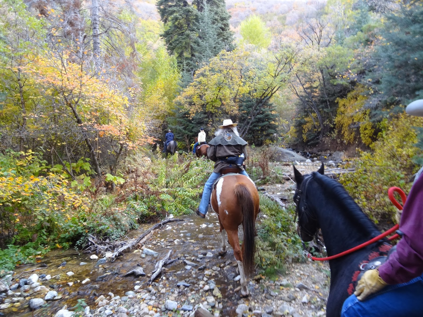 Dream Packer Trail Adventures: Holbrook Canyon, Bountiful, Utah