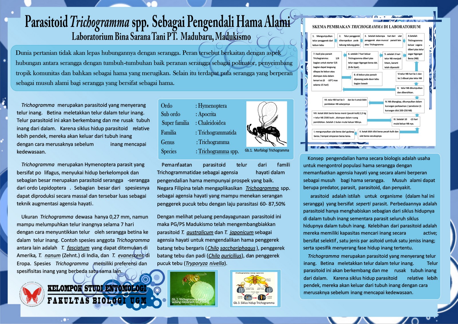 Kelompok Studi Entomologi: Serangga Pengendali Serangga Hama