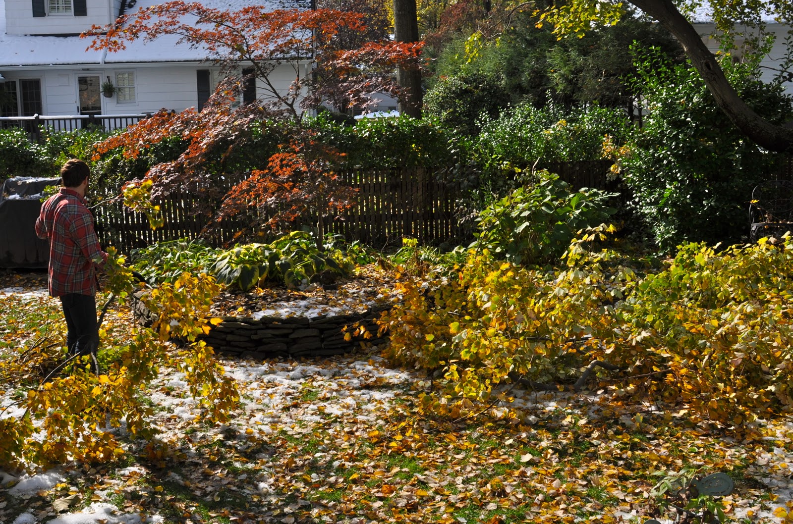 Fun With Barb: Tricks on Trees