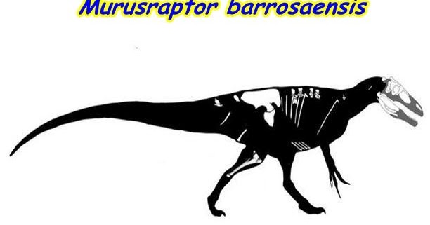 Ditemukan Dinosaurus Megaraptor Baru di Argentina - Sains Box