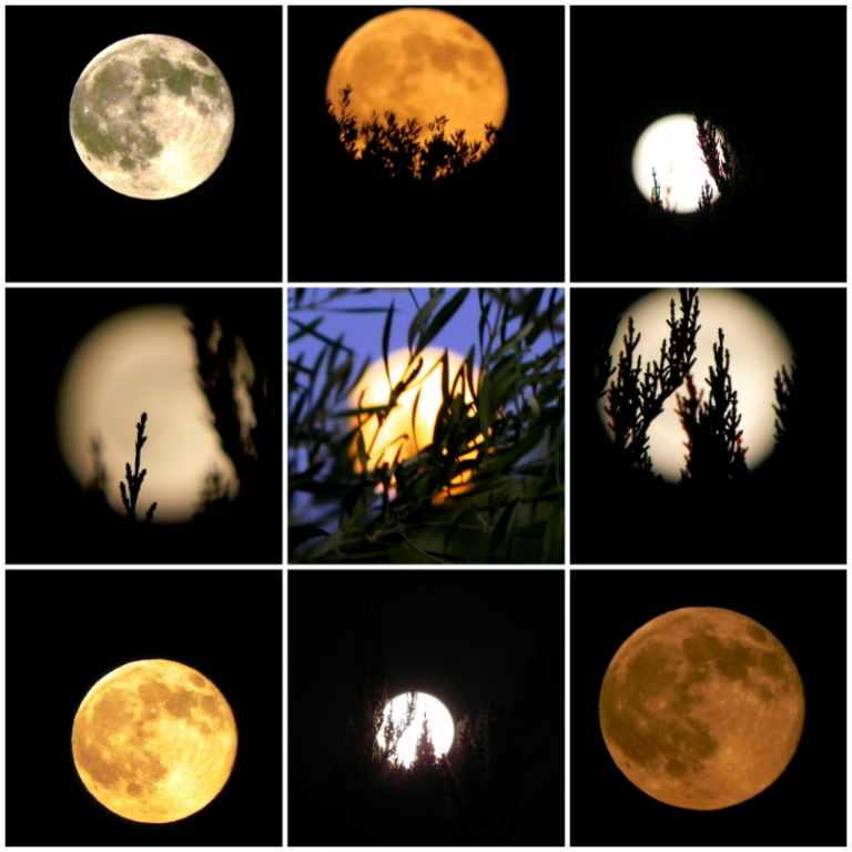 À Esquina da Tecla: As cores da lua