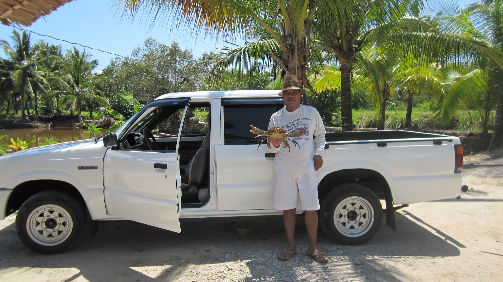 Crablets for Sale: Crablets for Sale