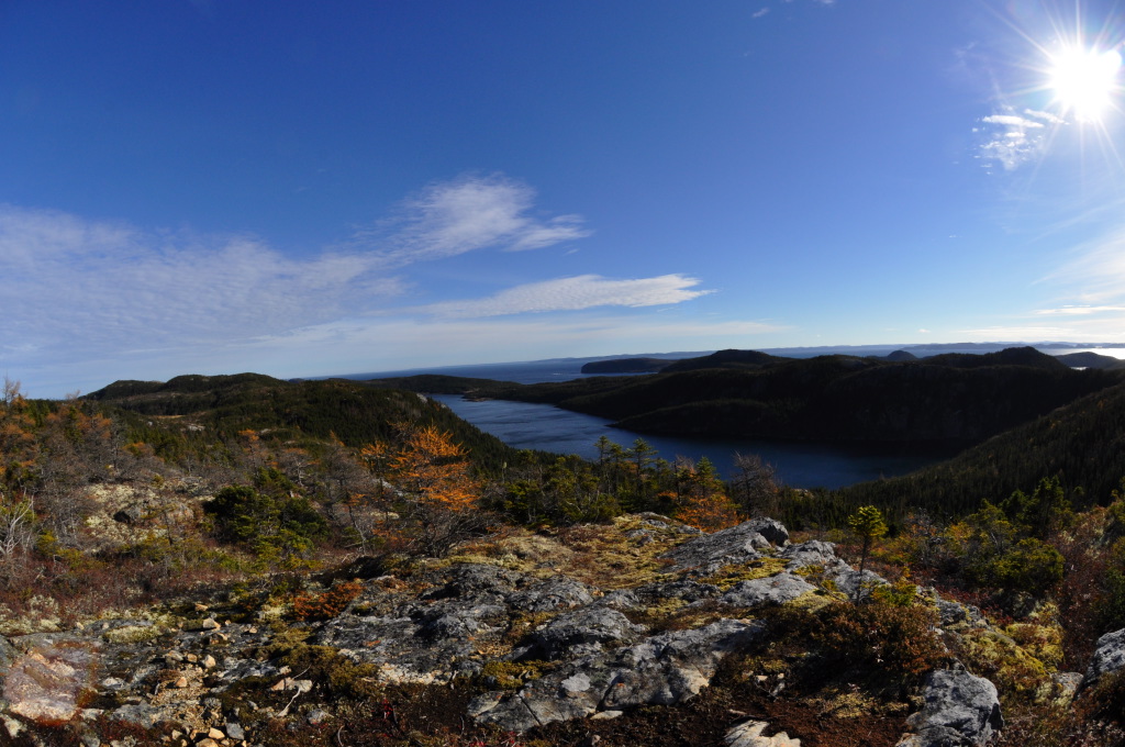 that girl from around the bay: April 2012