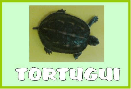 La clase de Laura: julio 2016