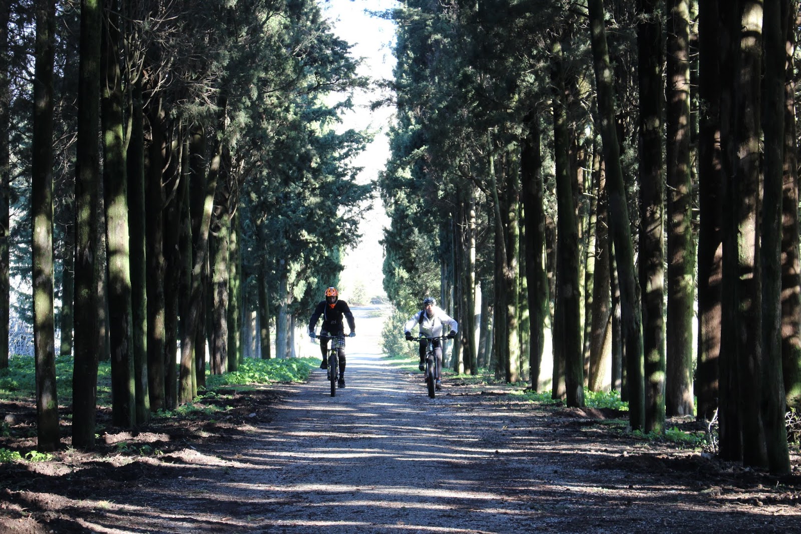 Viva La Bicycletta