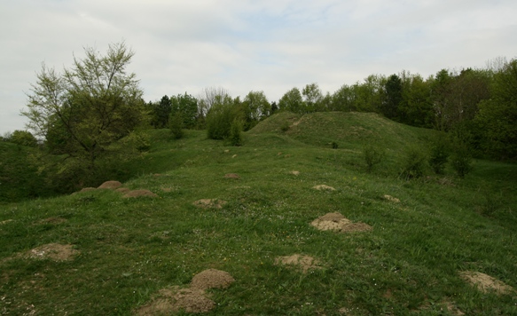 Cetatea Şcheia din Suceava | Comoara Culturala a Romaniei