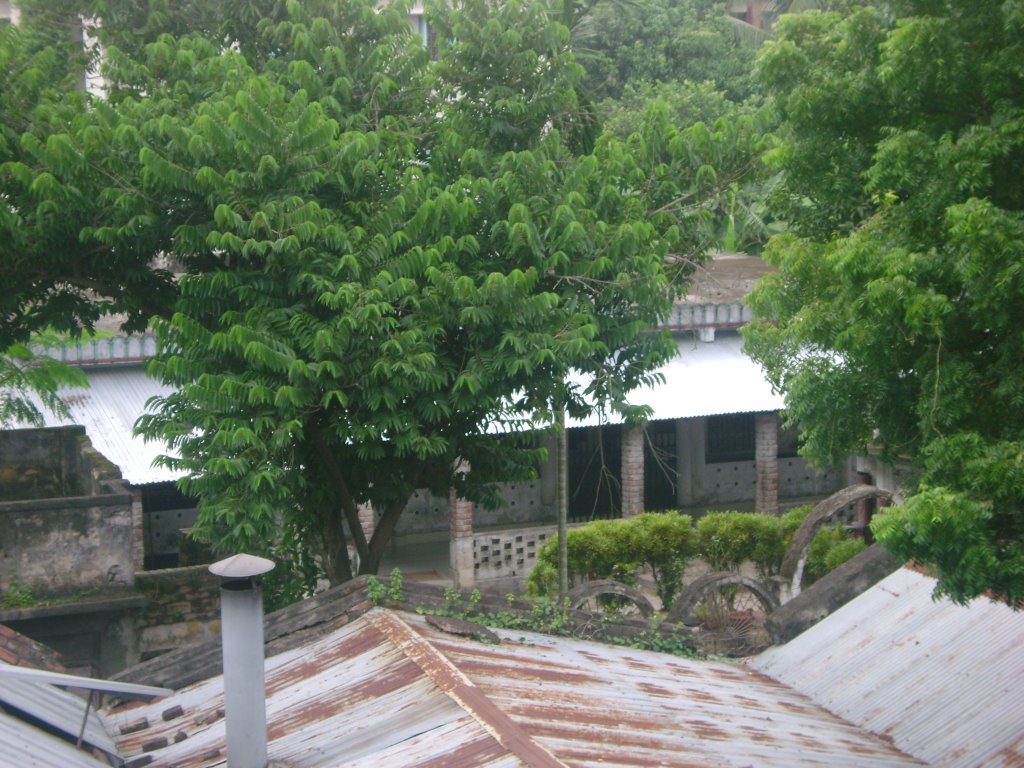 EXPLORE THE WORLD: Chuadanga, Bangladesh; Image Gallery