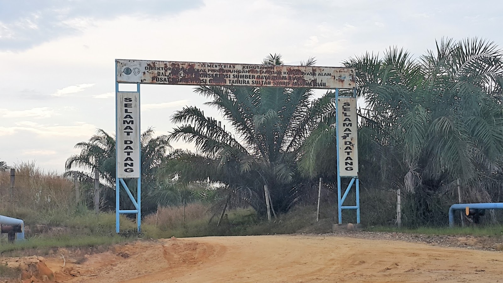 Pusat Pelatihan Gajah Minas Siak dan Sebanga Duri - Sejarah dan Konflik ...