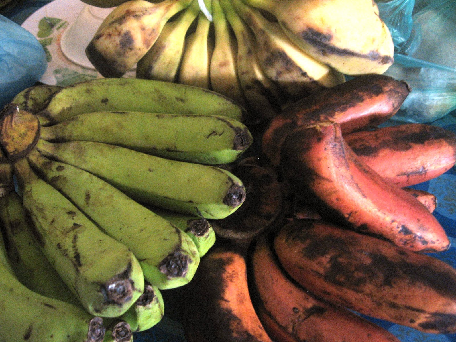 LtDan'sKitchen.com: Turon de Saba (Saba Banana Spring Rolls)