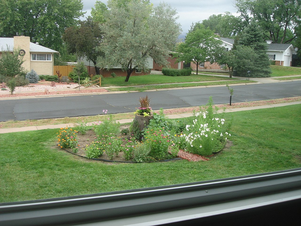 Louise Sanchez / Herbs Crafts Gifts: Pine Tree Stump as a Planter
