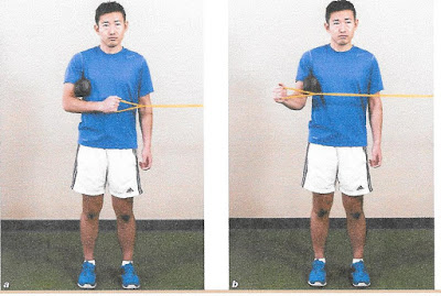 ejercicios para rotadores de los manguitos