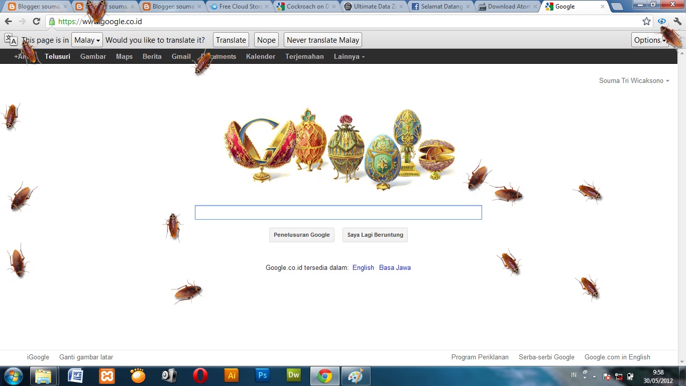 Cockroach On Desktop: - NON STOP STUFF