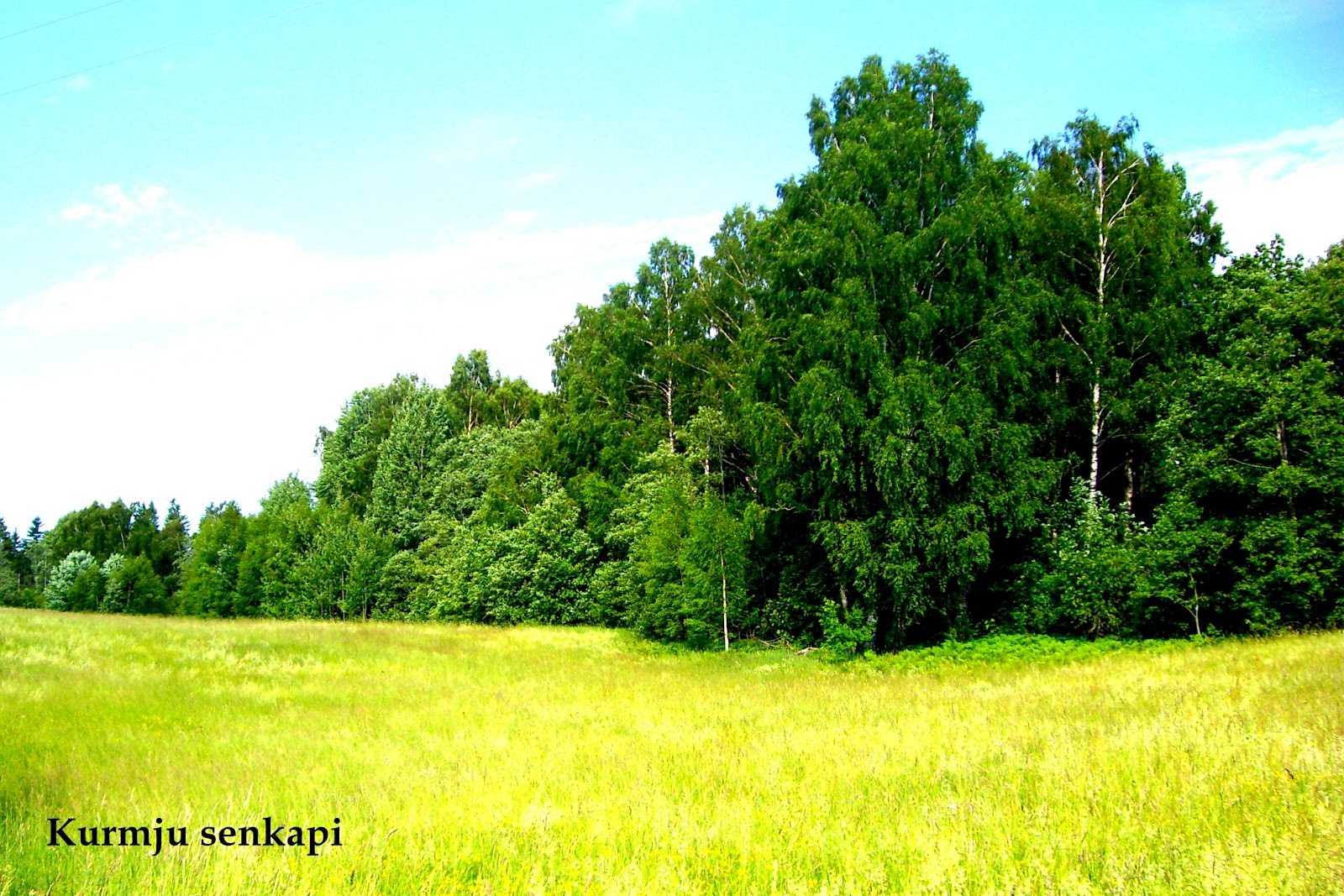Arheoloģiskie pieminekļi Vidzemē: AMATAS NOVADS