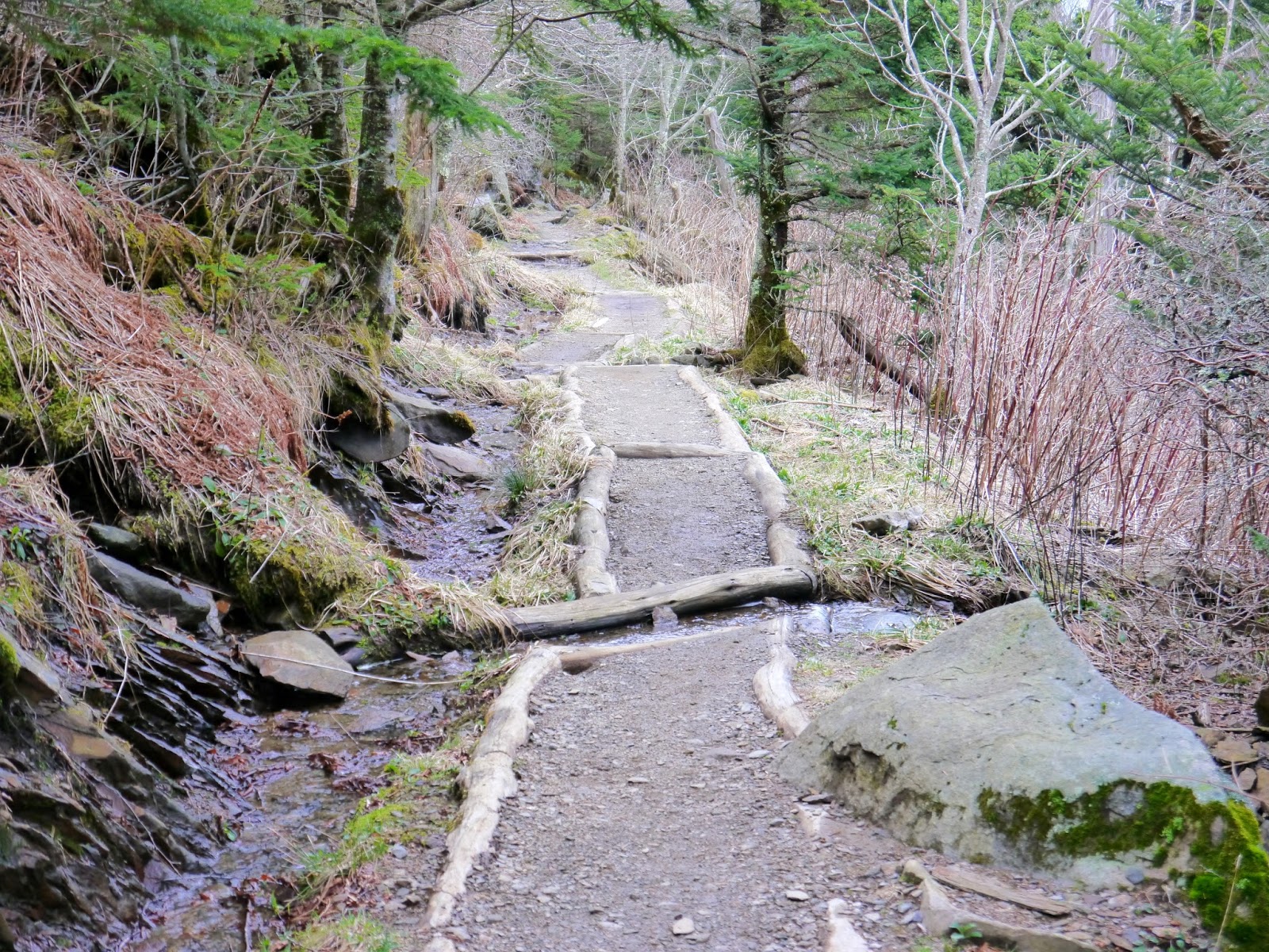 American Travel Journal: Forney Ridge Trail - Great Smoky Mountains ...