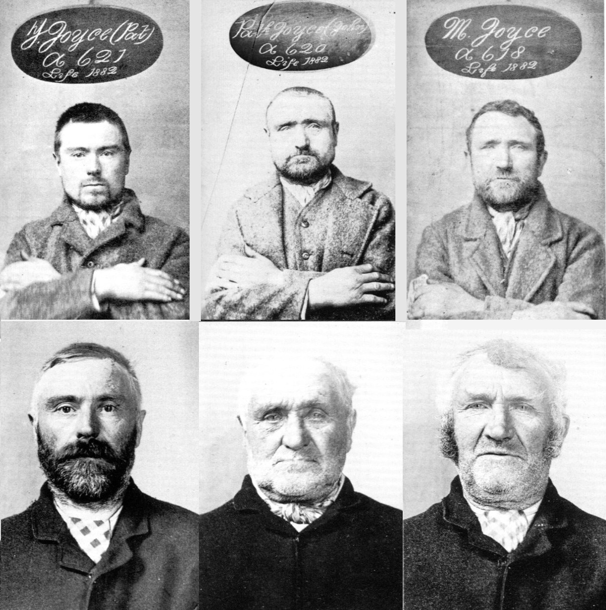 photopol: MAAMTRASNA