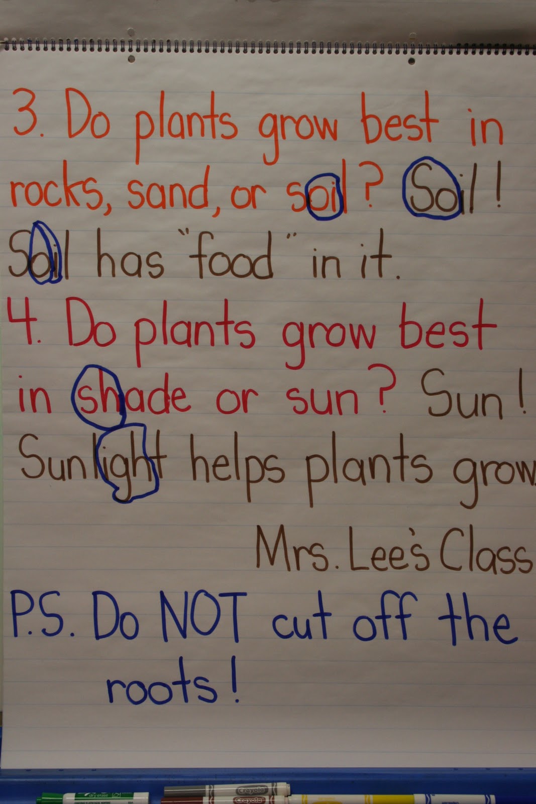 Mrs. Lee's Kindergarten: Spring and Plants