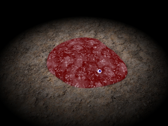 HIGH RESOLUTION TEXTURES: Seamless organ texture