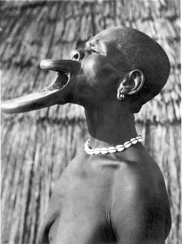 The Bigger The Better 18 Vintage Photos Of African Women With Their Traditional Lip Plates From the-bigger-the-better-18-vintage-photos-of-african-women-with-their-traditional-lip-plates-from