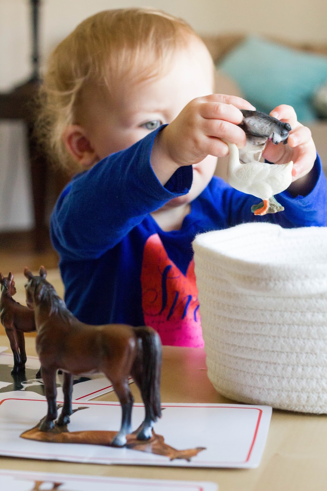 Object-to-Picture Matching for Montessori Toddlers