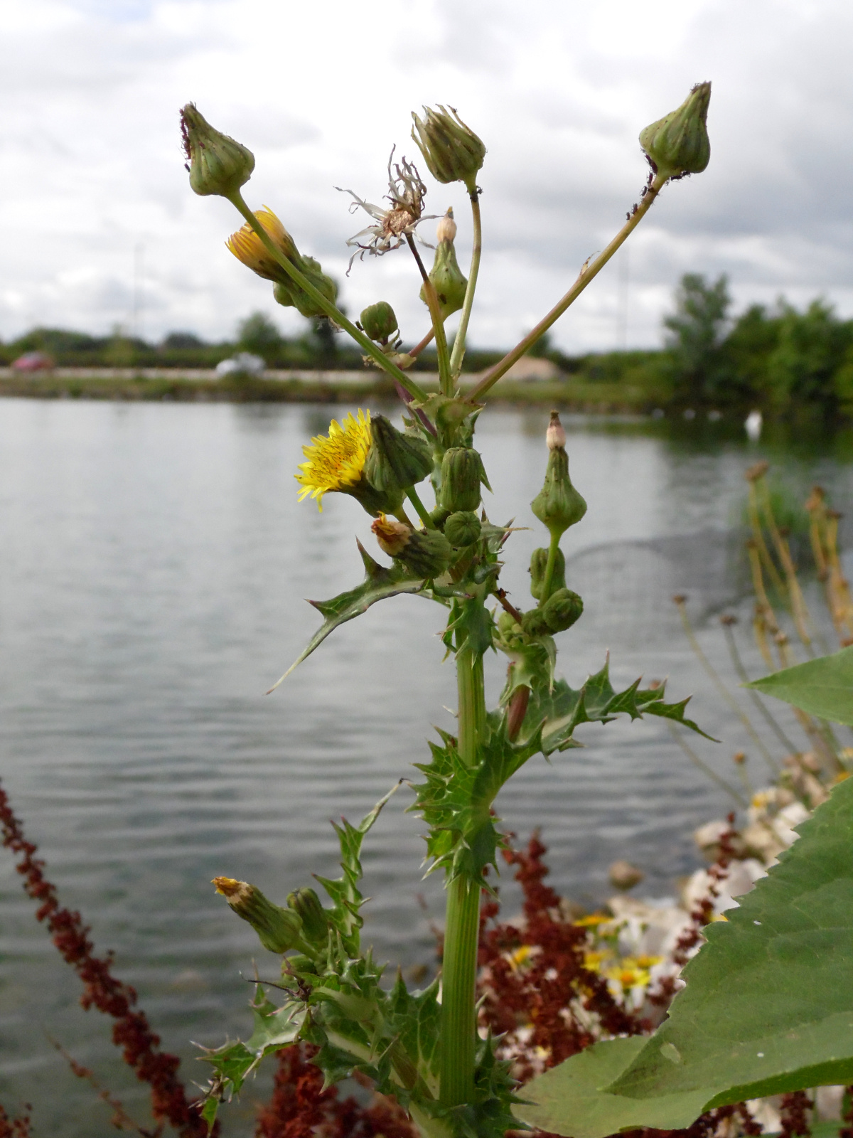 Random Jottings: August 2013