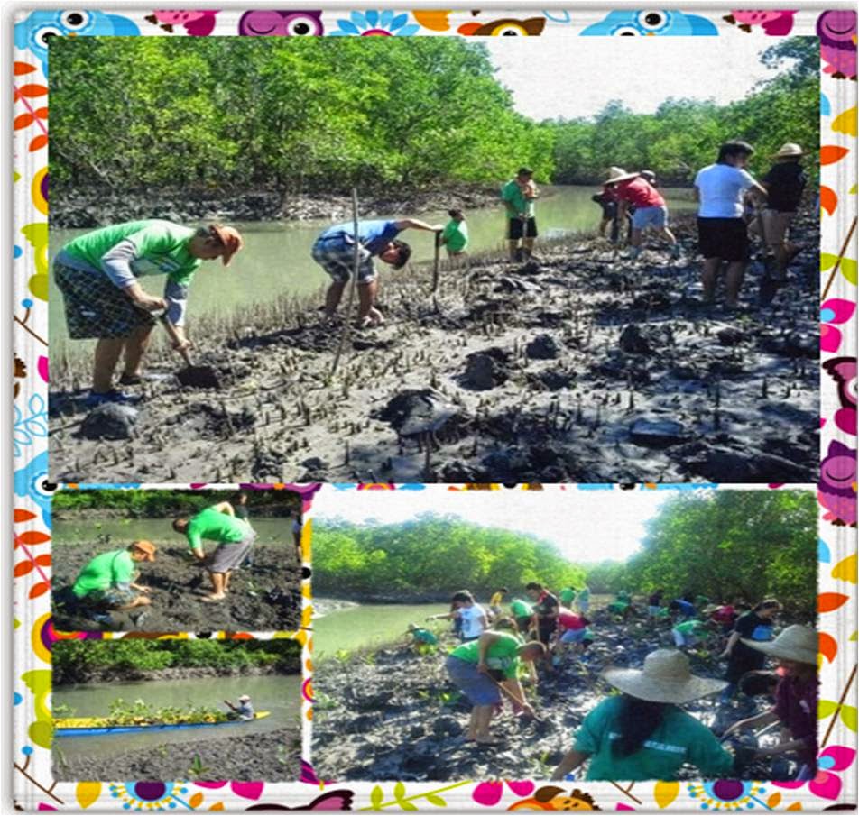 VIDES PHILIPPINES: Mangrove Planting Project