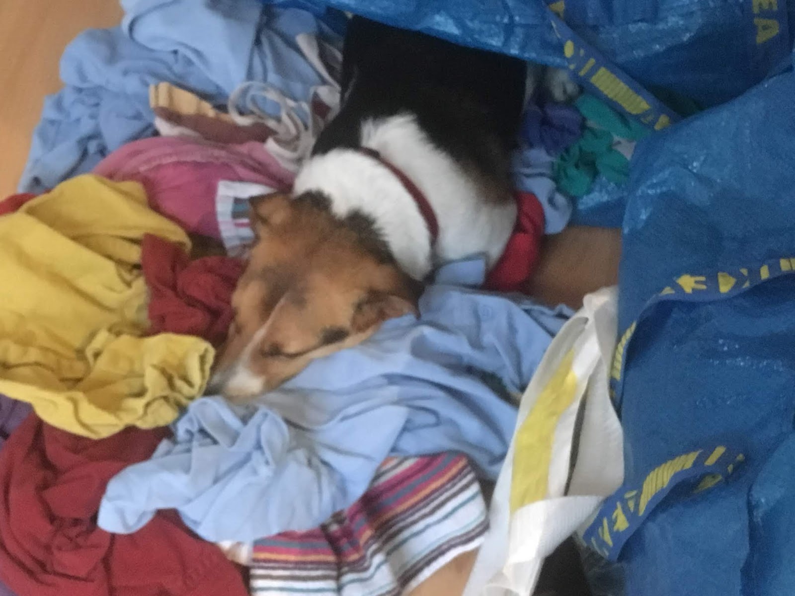 A colourful life: mid week check-in