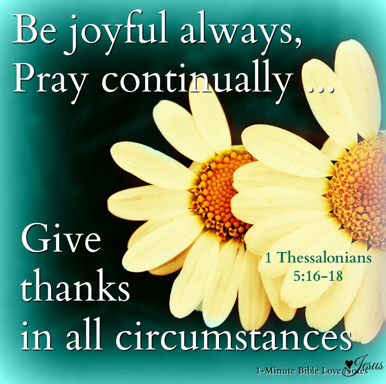 Bite Size Bible Study: A Trophy For Everyone?