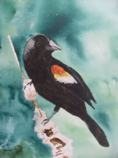 Aquarellen van Renate: animals