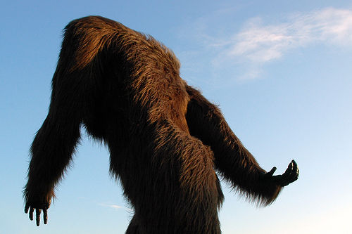 Car Dealer News: Bigfoot on the Navajo Nation shot