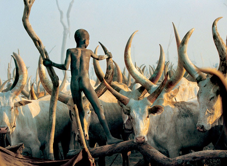 Beautiful Life Of Dinka At South Sudan We Share For Khmer