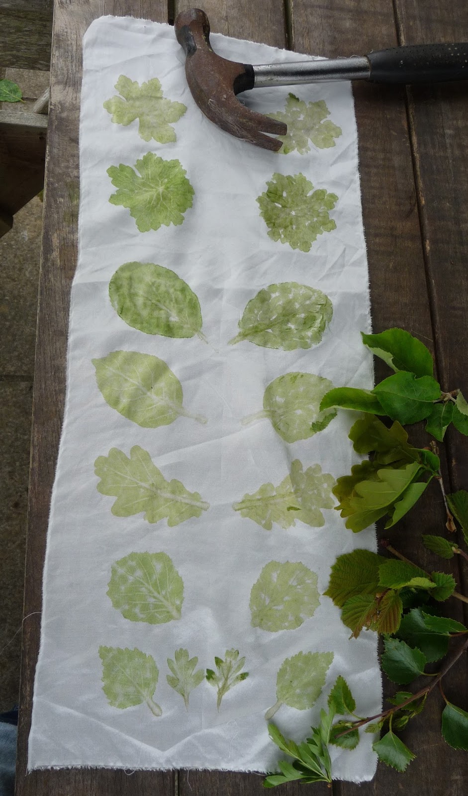 Wool - Tribulations of Hand Spinning and Herbal Dyeing: Making Plant ...