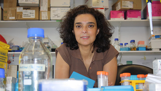 De Rerum Natura: Cientistas estão à beira do desespero