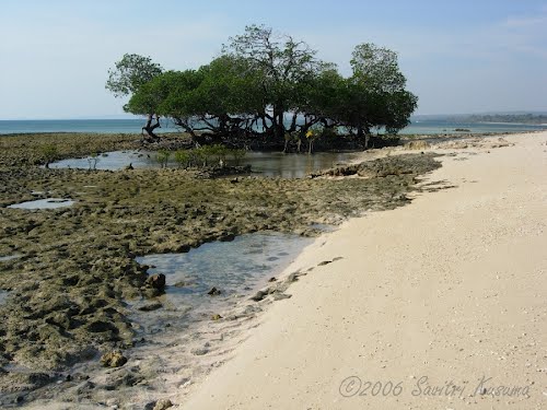 Tablolong Beach | Komodo Island Vacation Packages