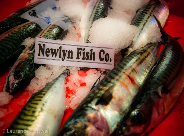 Through the Gaps! - Newlyn Fishing News: It's an inshore #FishyFriday ...