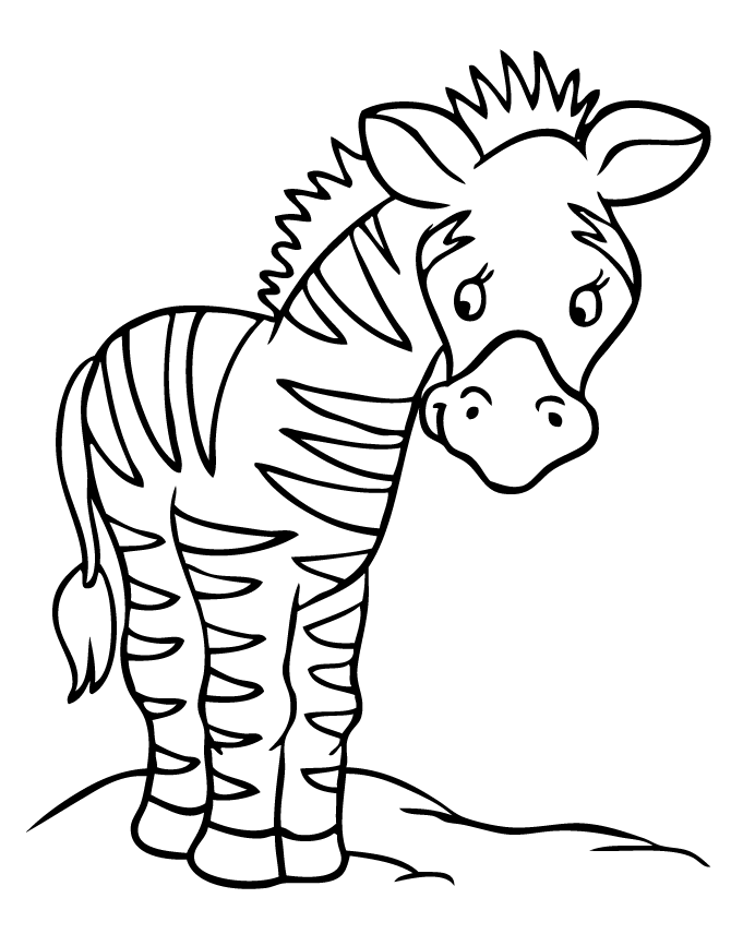 Top Of 12+ Zebras Coloring Pages Image - Best Coloring Pages For Kids