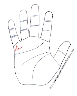 How To Count Children Lines Palmistry ~ INDIAN PALMISTRY | PALM READING ...
