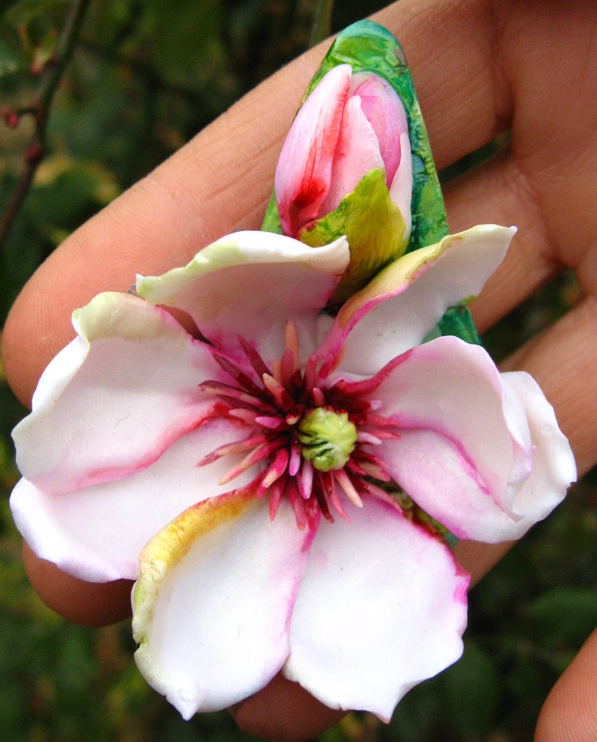 Herina: Brosa mare magnolie alba