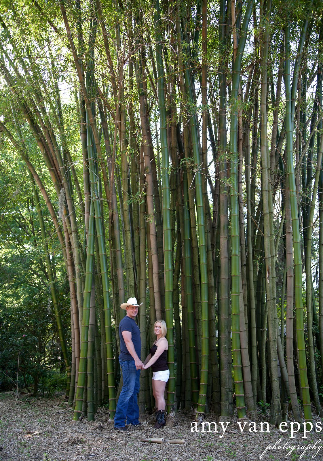 Central Florida Photographer - Amy Van Epps Photography