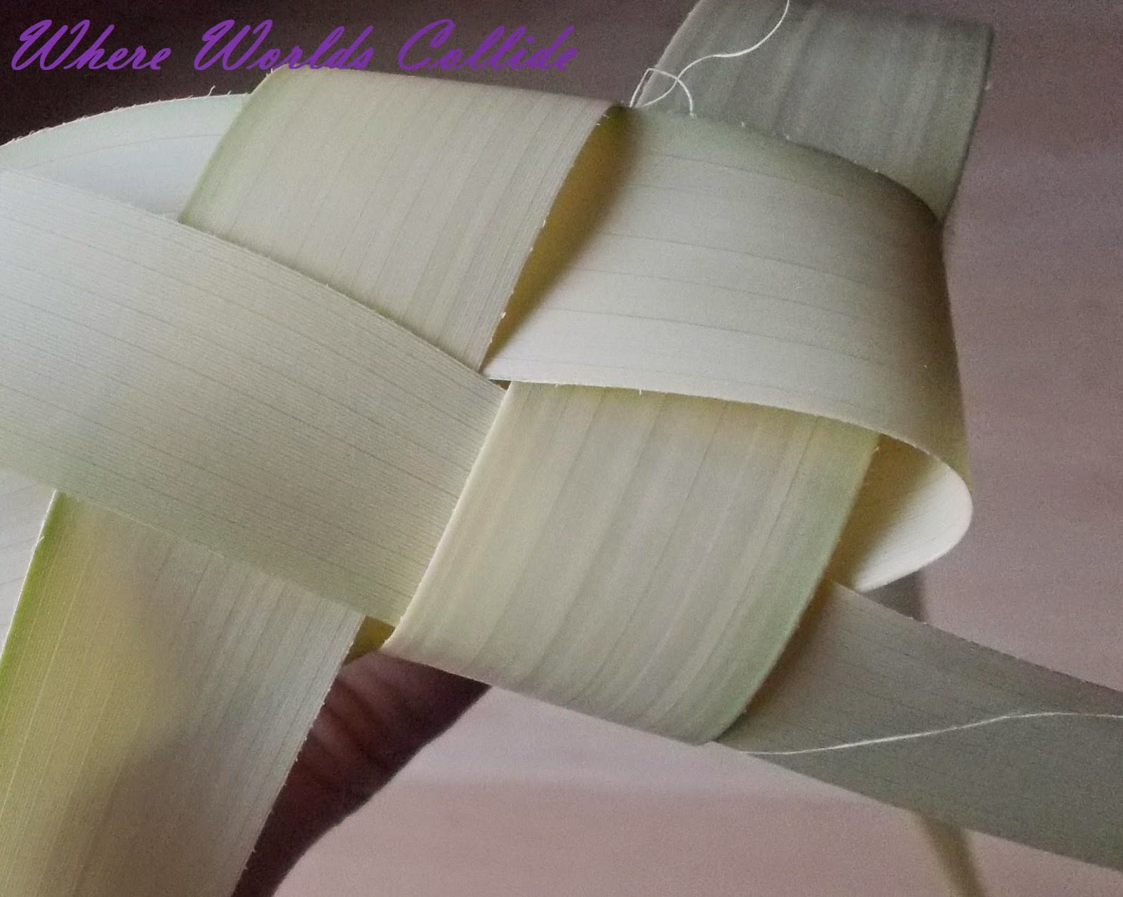 Where Worlds Collide: Palm Weaving