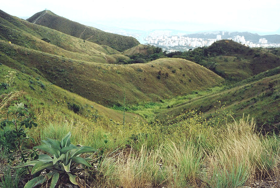 Daisy Timaure: Cerro el Casupo