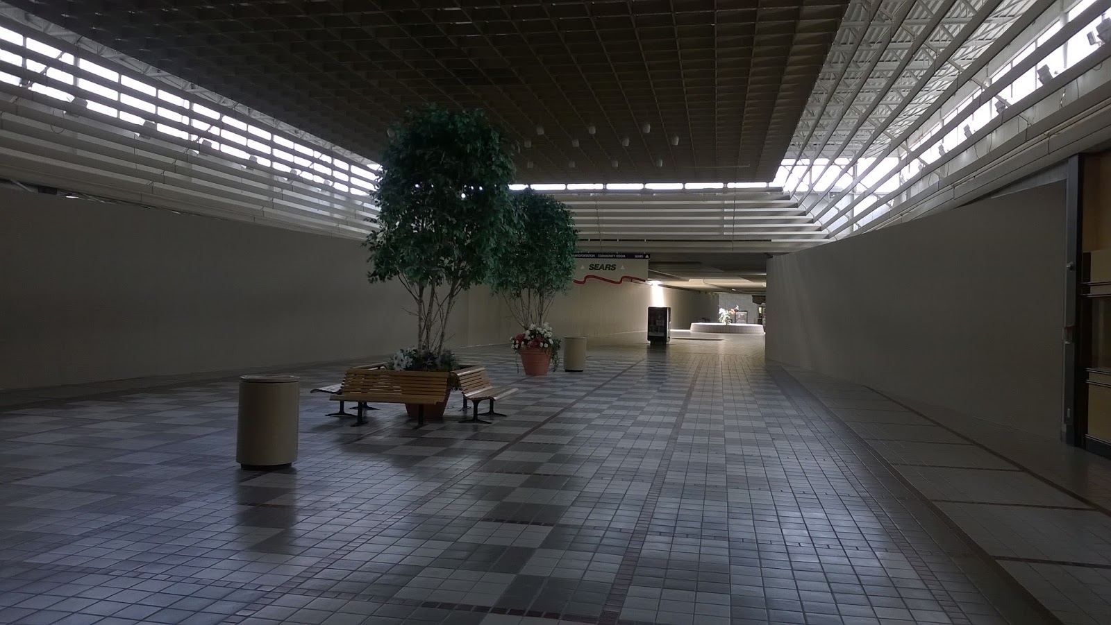 KAOS: Issue 239: Rio 2016, Ryan Rose, Diego Lauzen, Moonlight, Pharm ...