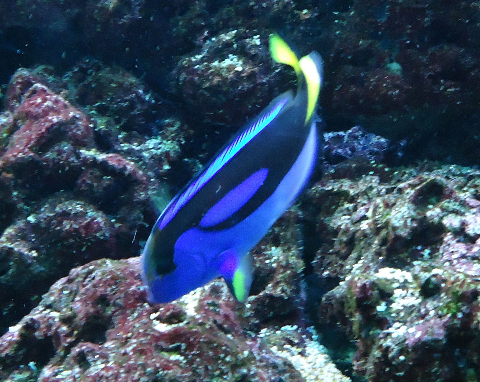 Jolene Beads: The Aquariums at Regents Park Zoo, London