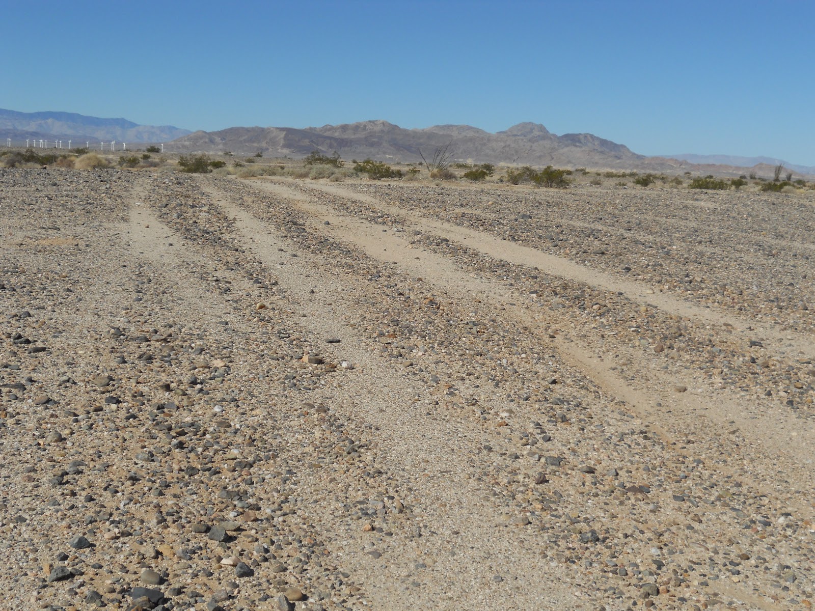 Always An Adventure: Desert Field School