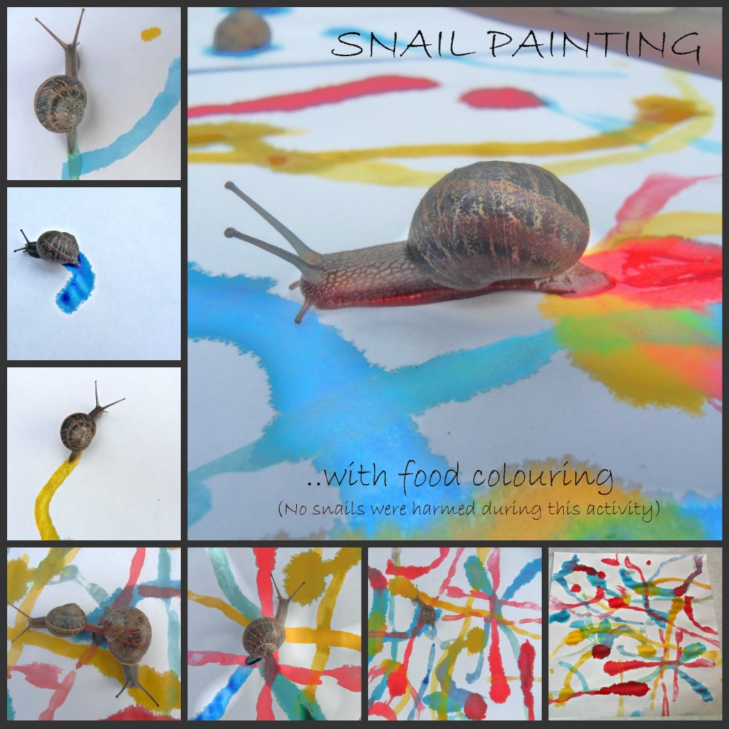 Creative Flourishes: Not for the squeamish- Snail Painting!