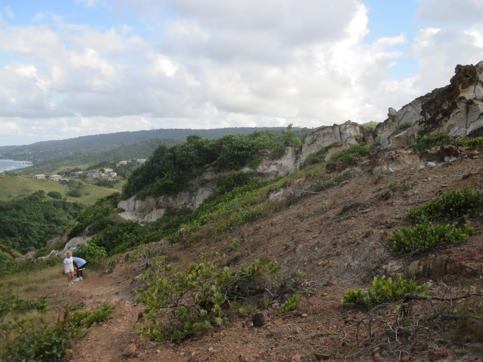 Quiet Reflections of Barbados: Hike of Barbados - Barclays Park ...
