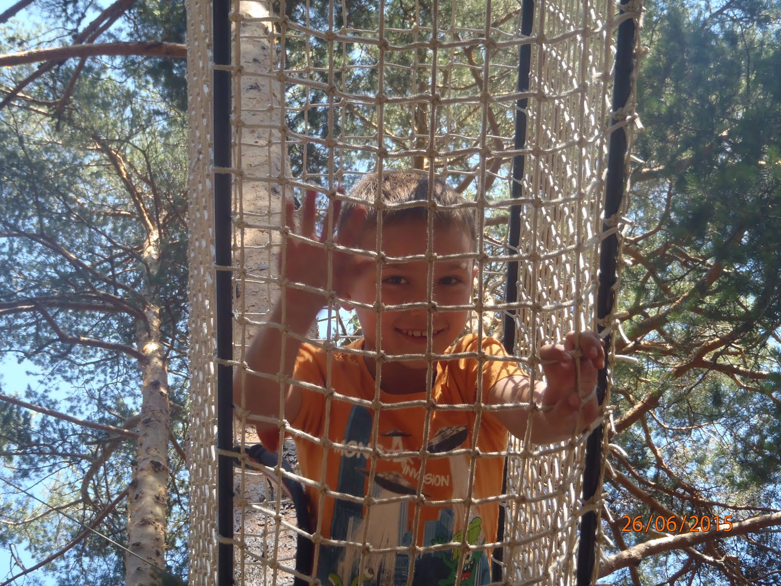 FORTABRE. Servicios de poda y tala en altura: Equipo para trepa de ...