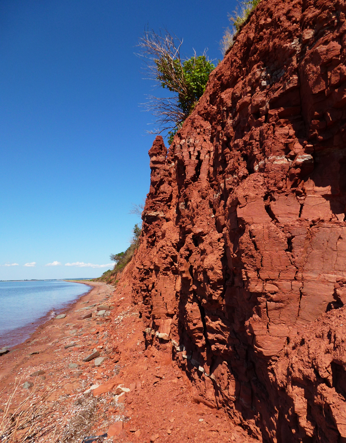 Occasional Toronto: The Red Cliffs Of Prince Edward Island