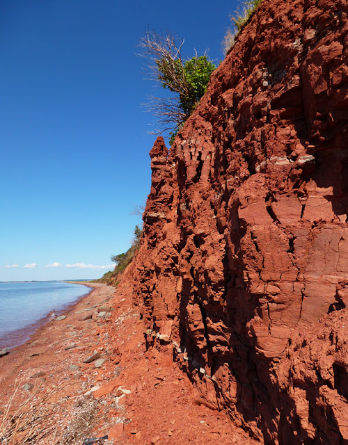 Occasional Toronto: The Red Cliffs Of Prince Edward Island