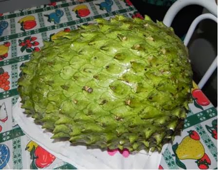 LUANDA TROPICAL: FRUTOS DE ANGOLA