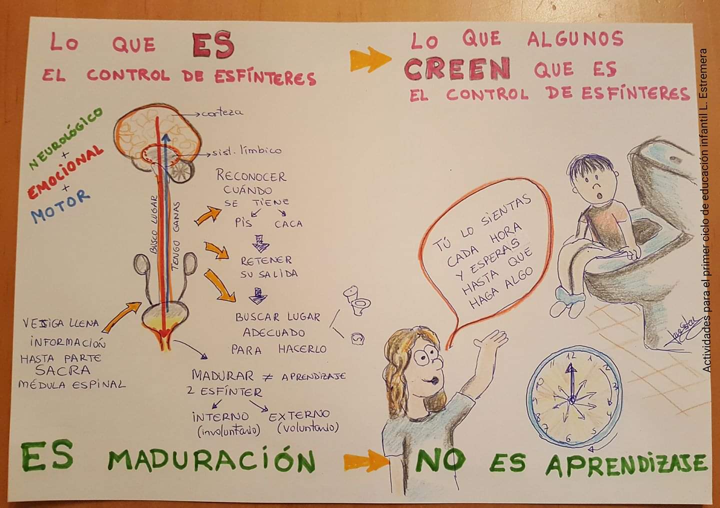 Pinceladas sobre control de esfínteres y dejar el pañal